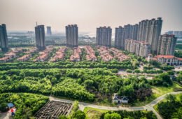 CLBPT Mastery: Practice Tests and Expert Tips for Success - Copper Chips